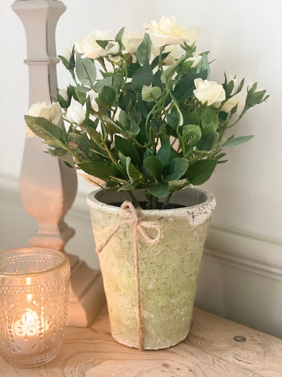 Whitestone Antiqued Rose Pot – Rose and Ivy Interiors